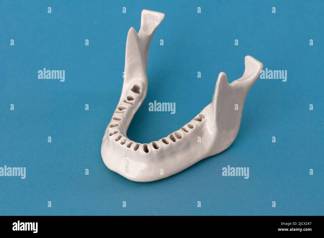Upper human jaw without teeth model medical implant isolated on blue ...