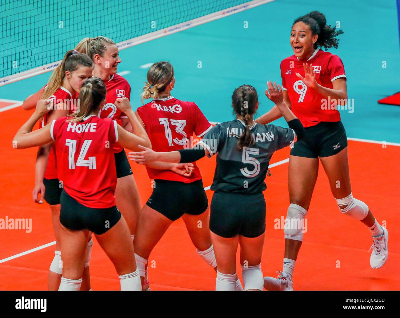 Gray alexa hi-res stock photography and images - Alamy