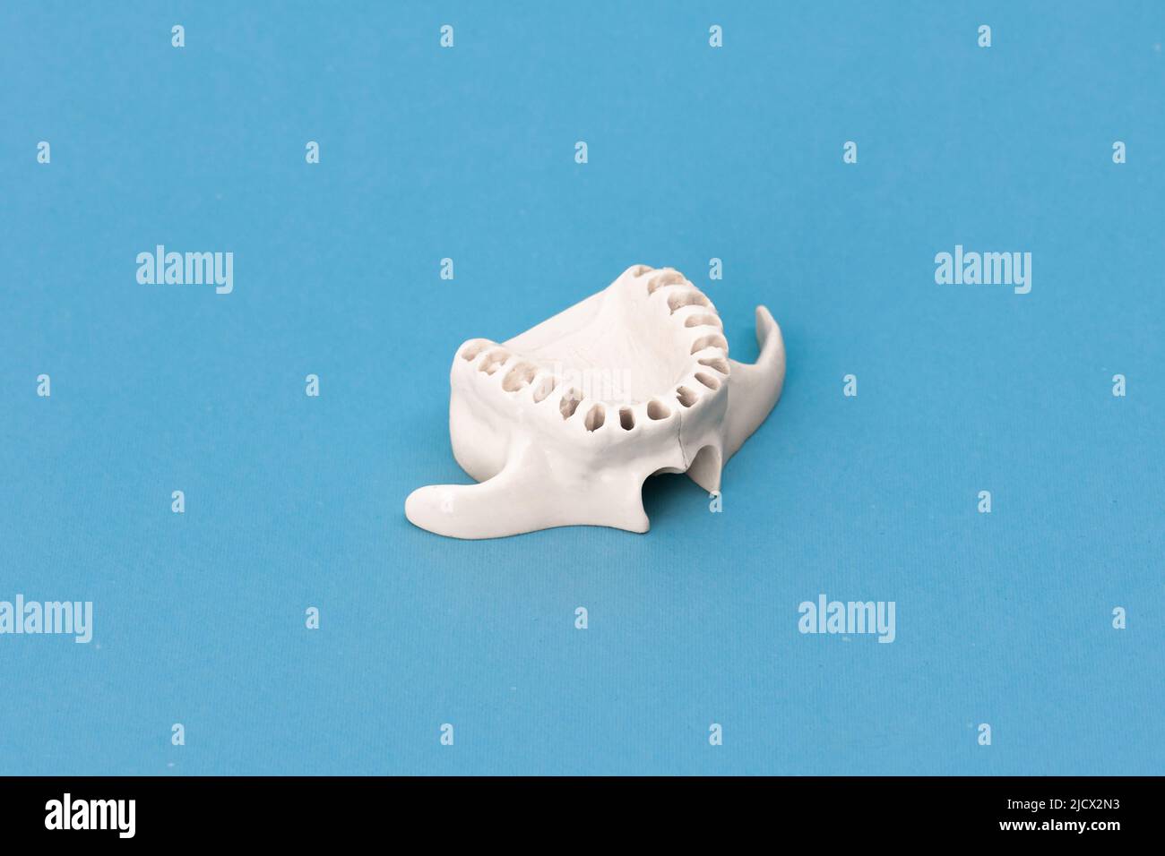 Upper human jaw without teeth model medical implant isolated on blue ...