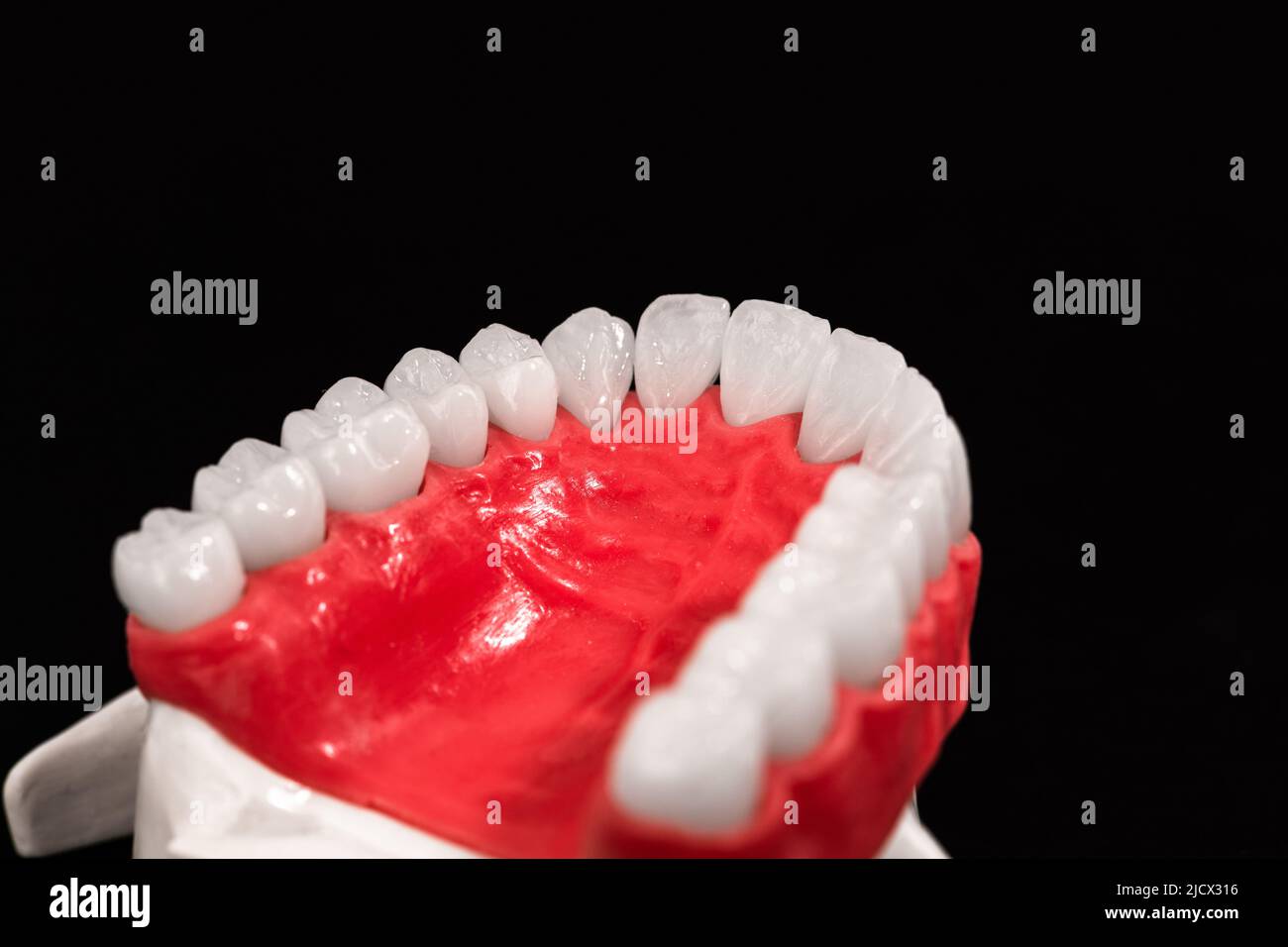 Lower human jaw with teeth anatomy model isolated on black background ...