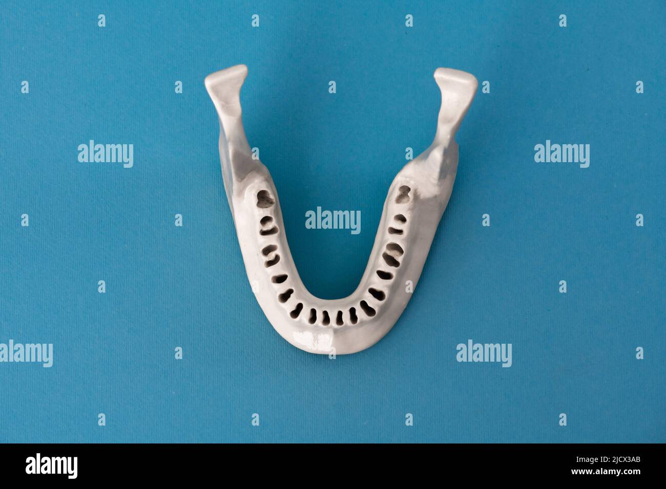 Upper human jaw without teeth model medical implant isolated on blue ...