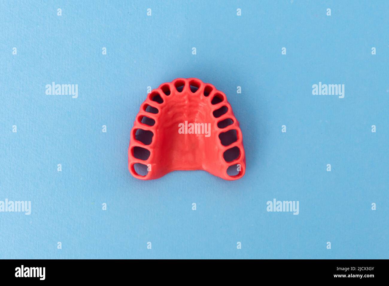 human gums without teeth model medical implant isolated on blue ...