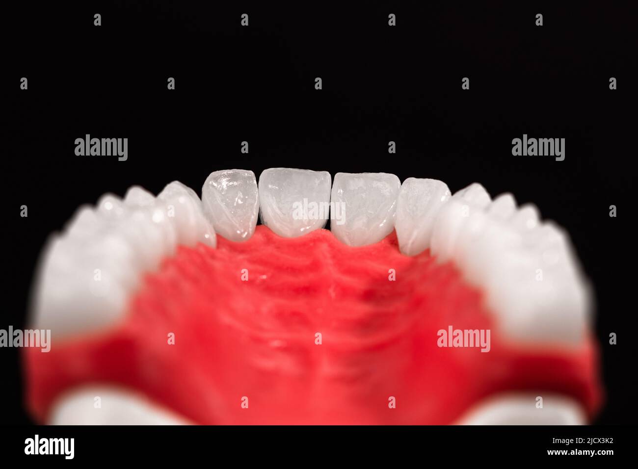 Lower human jaw with teeth anatomy model isolated on black background ...
