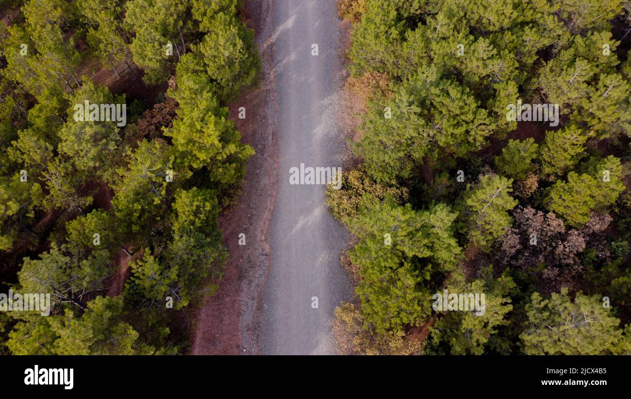 Beautiful city forest hi-res stock photography and images - Alamy