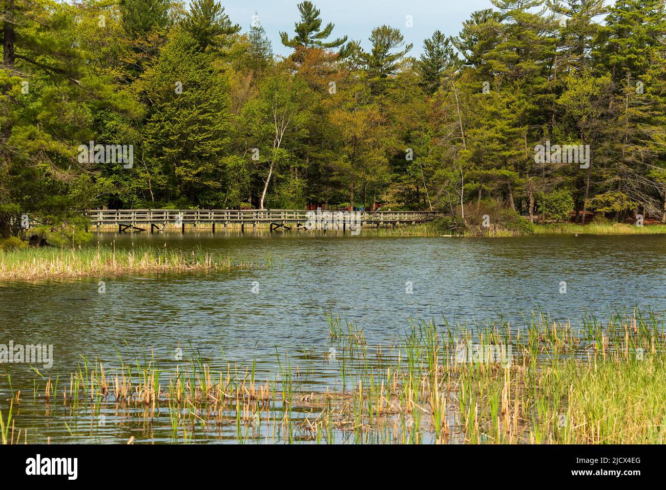 Rustic pedestrian bridge walkway on a natural trail system Stock Photo ...