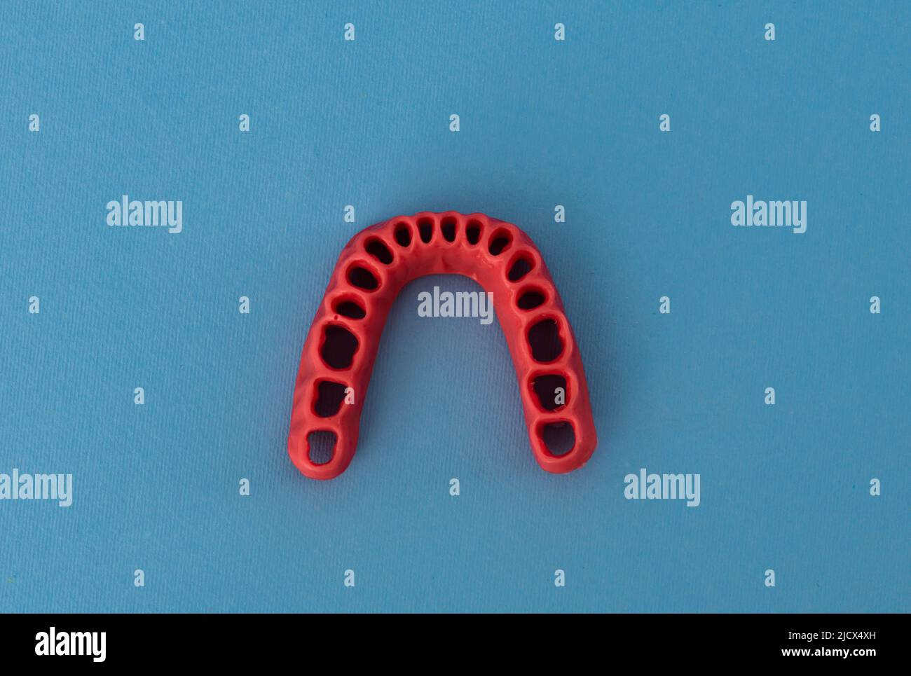 human gums without teeth model medical implant isolated on blue ...