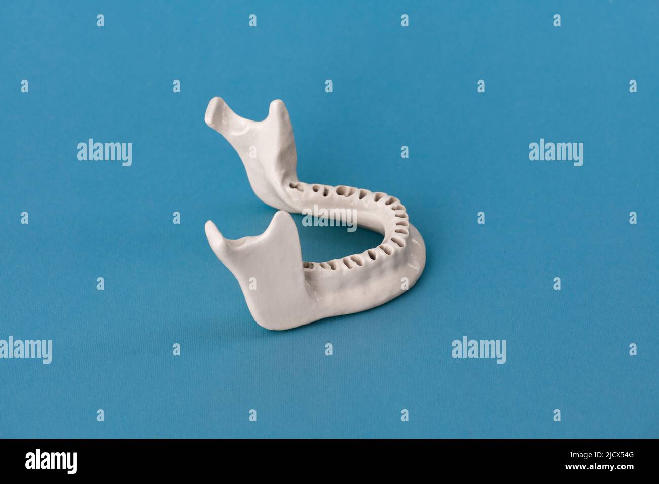 Upper human jaw without teeth model medical implant isolated on blue ...