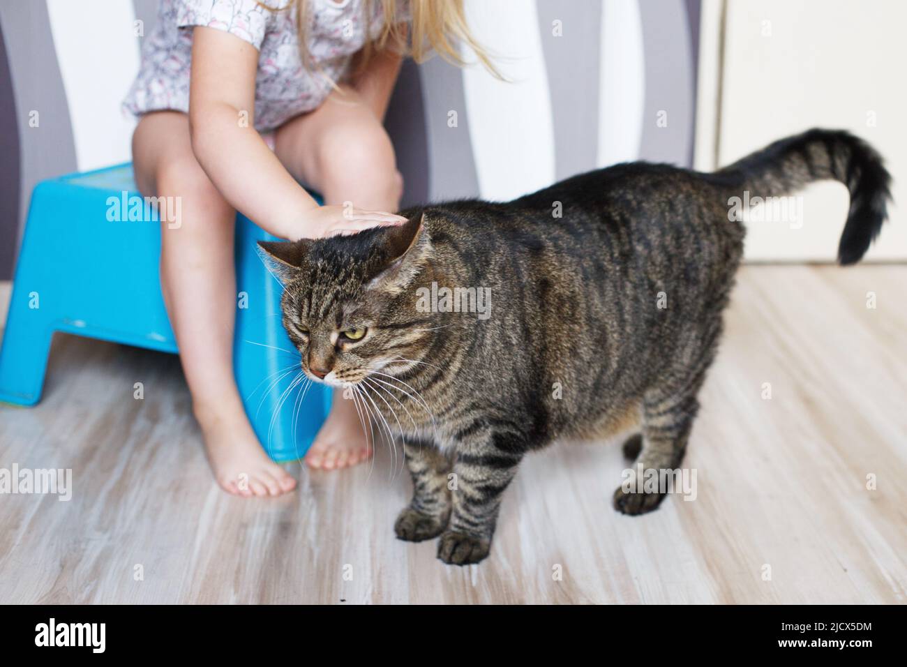 Woman petting a cat hi-res stock photography and images - Alamy