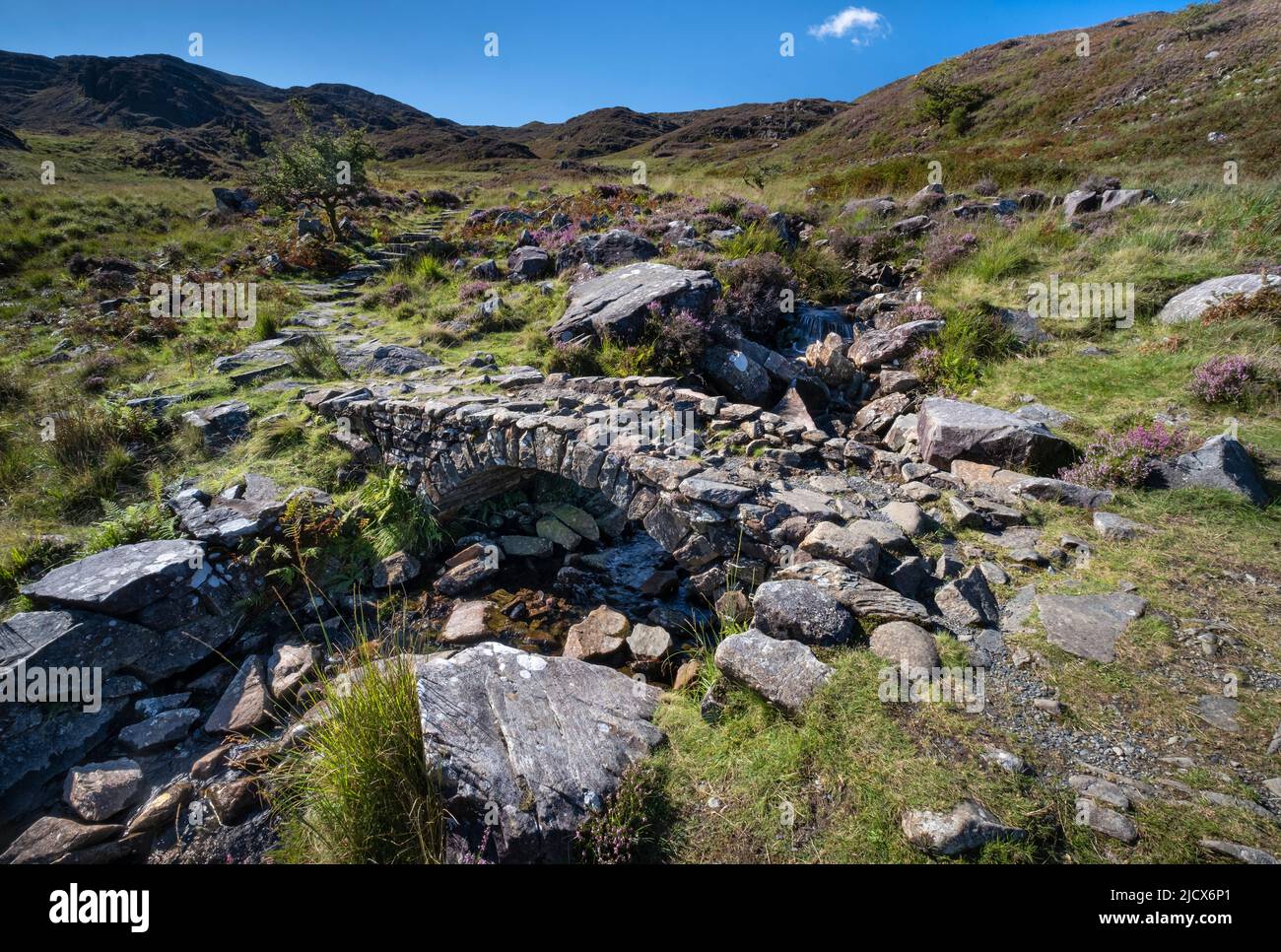 Cwm bychan summer hi-res stock photography and images - Alamy