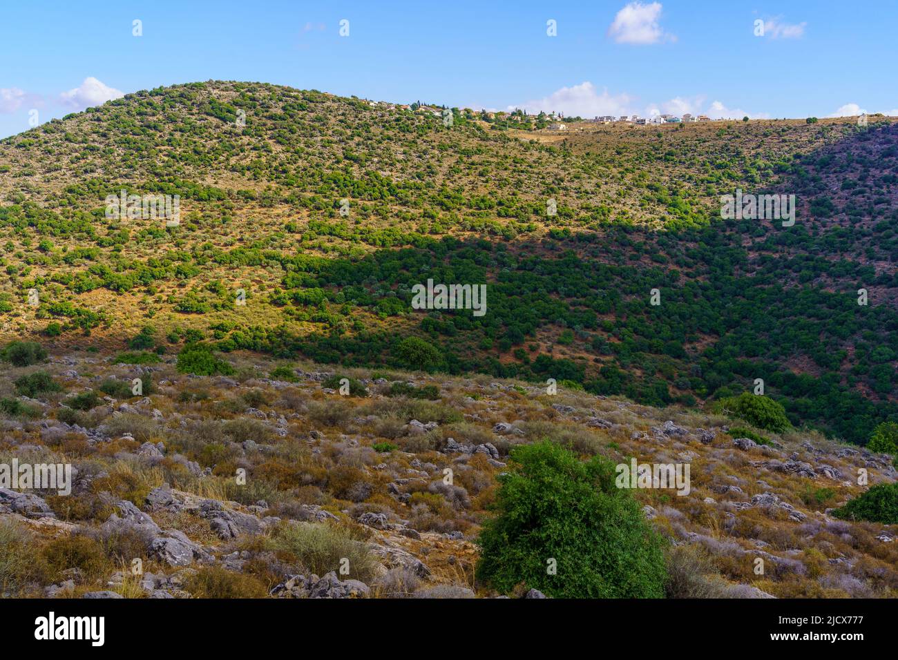View of Galilee landscape, in Karmiel, Northern Israel Stock Photo - Alamy