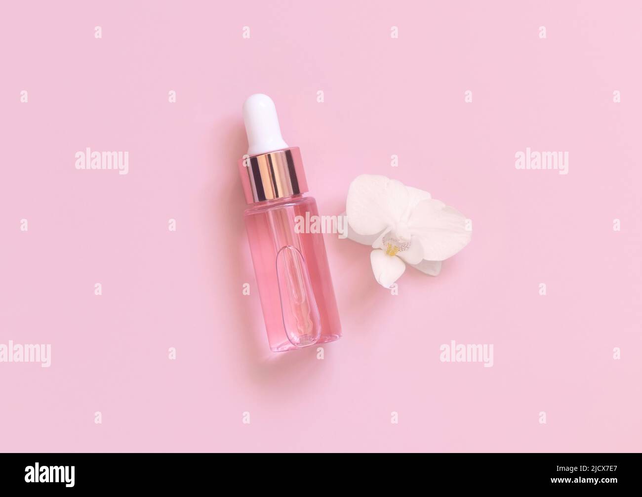 Light Pink Dropper Bottle near white orchid flower on light pink, top ...