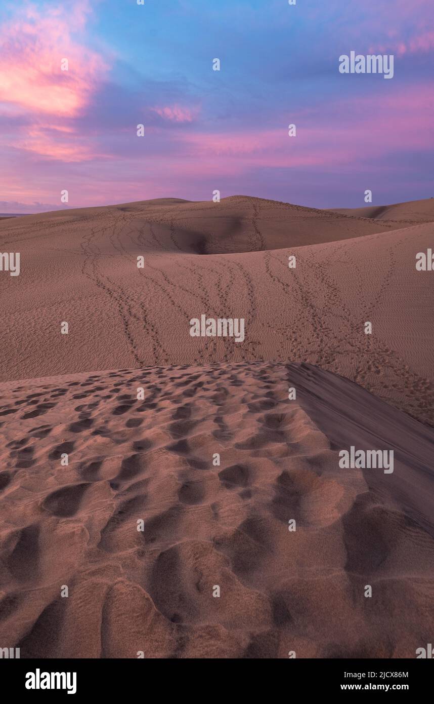 Gran Canarias dunes, Maspalomas, paths on sand Stock Photo - Alamy