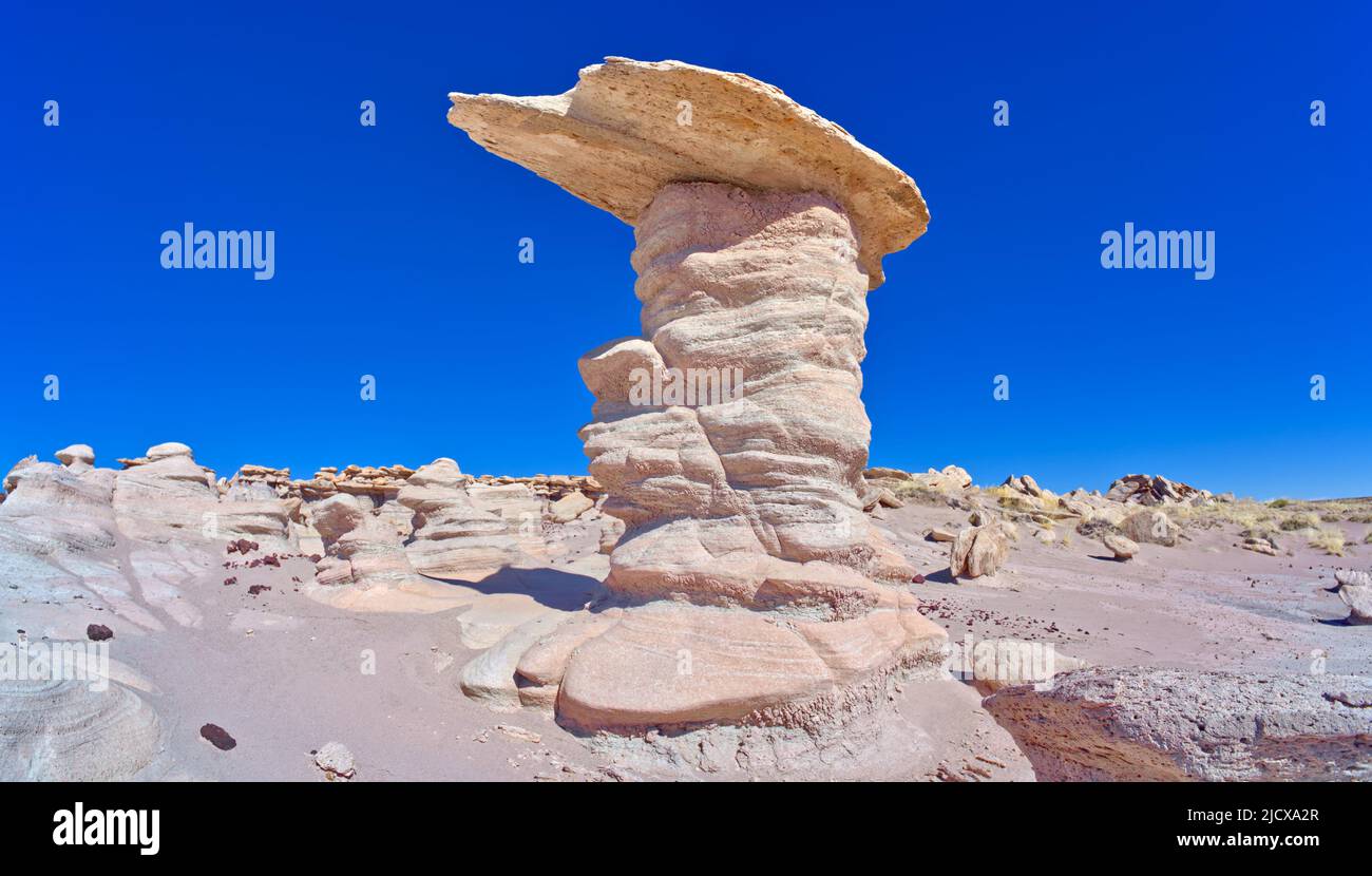 A tall hoodoo called the Leviathan in Devil's Playground, Petrified ...