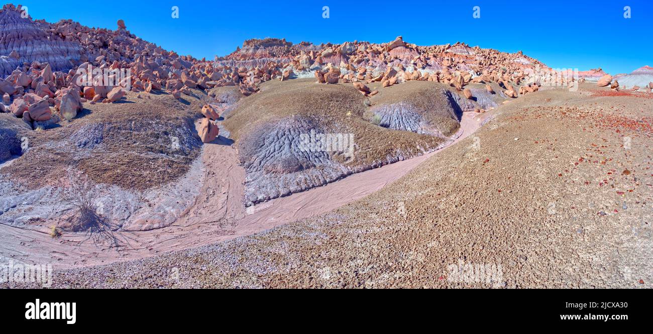 Field of boulders in Devil's Playground within Petrified Forest ...