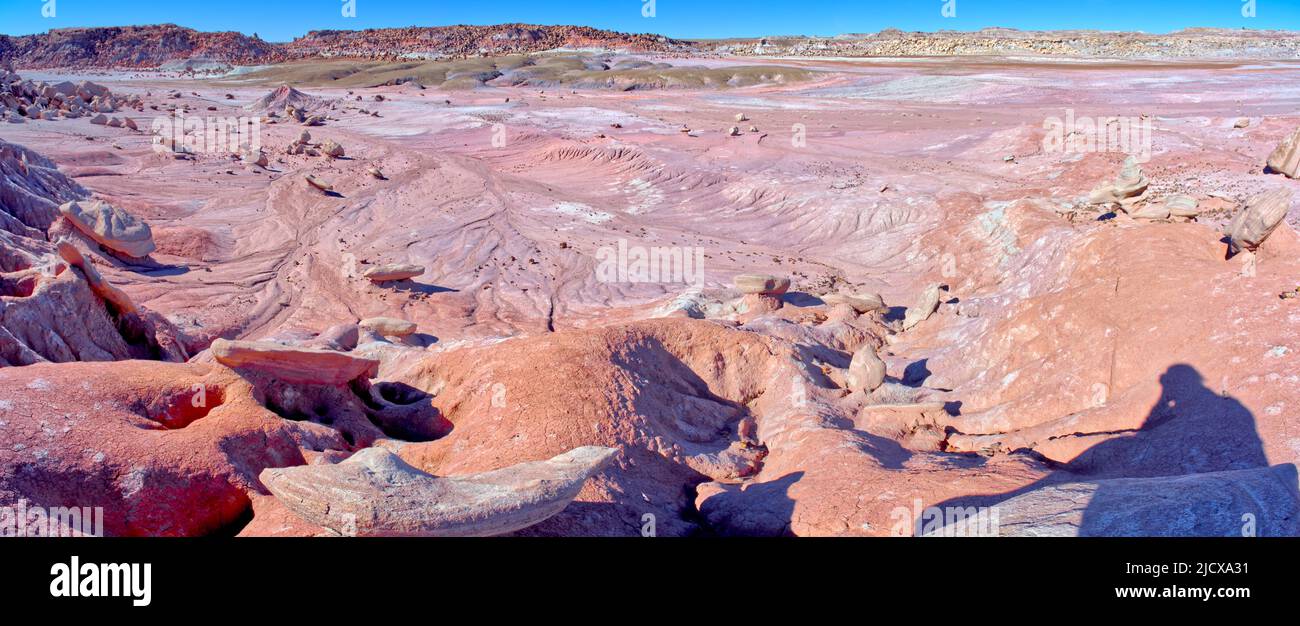 The desolate Hellscape of Devil's Playground in Petrified Forest ...