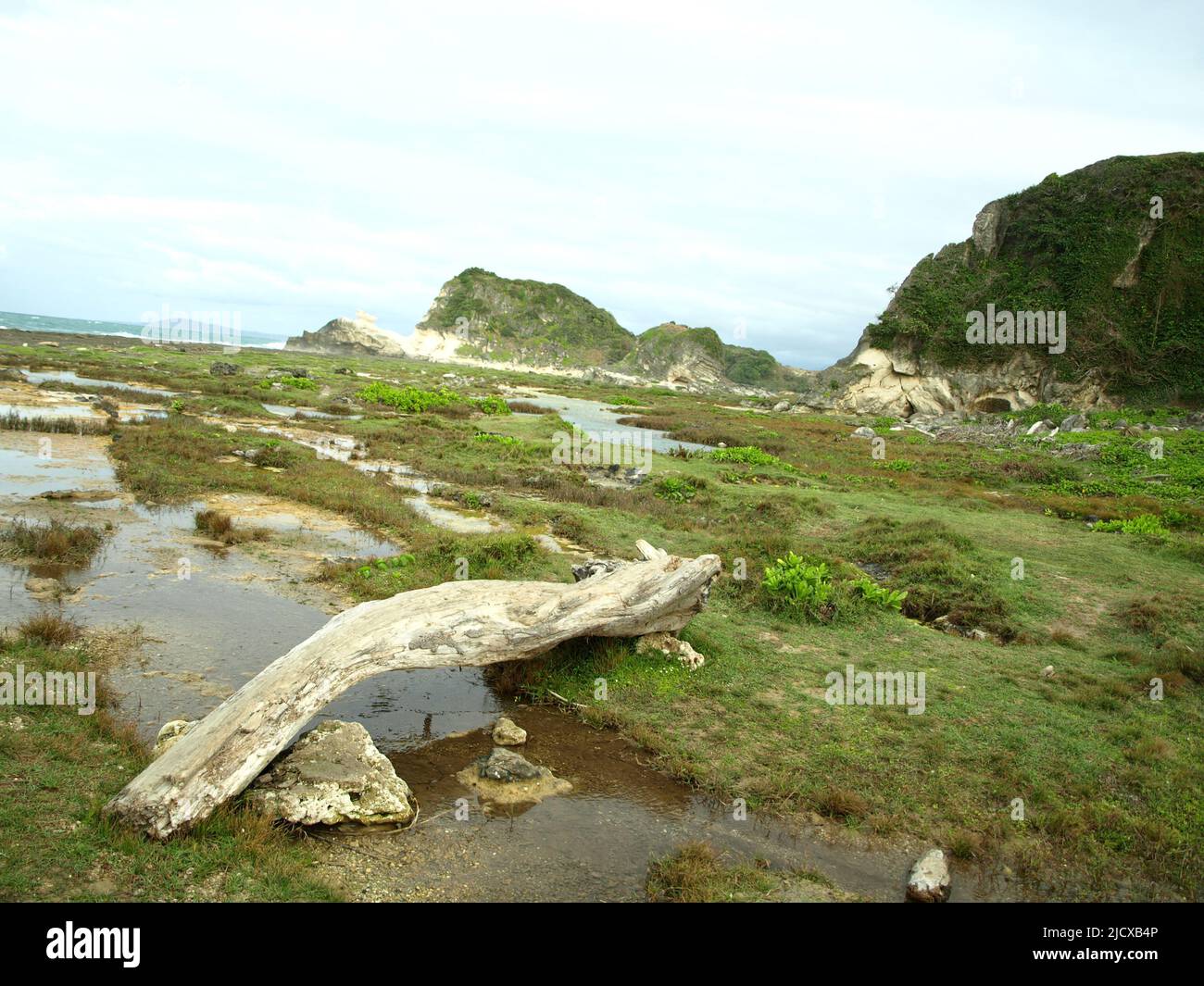 Geological wonder natural limestone formation in Ilocos Norte ...