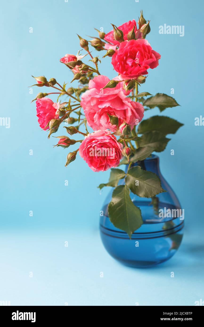 Rose flower vase flower vase hi-res stock photography and images - Alamy