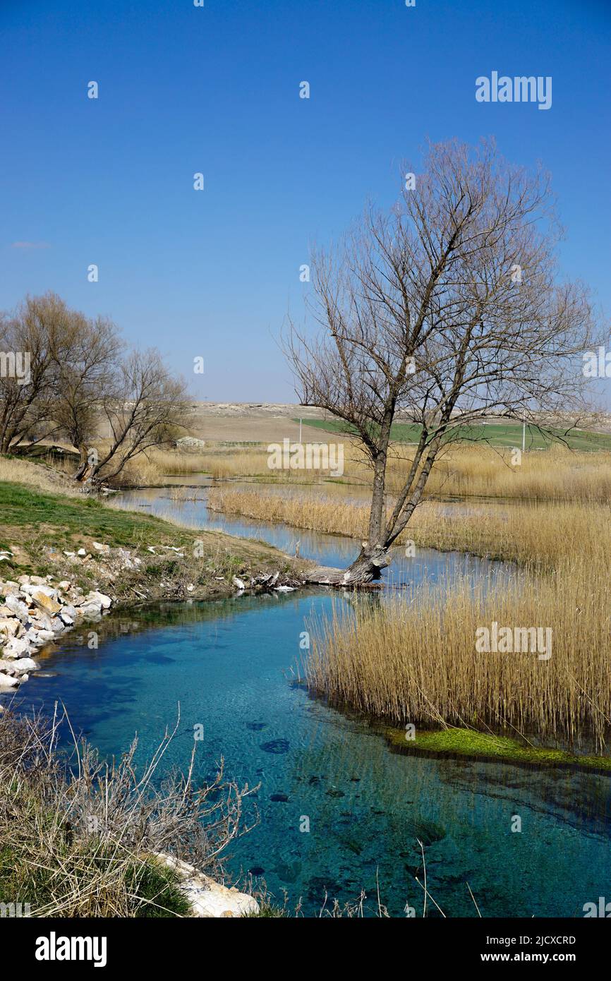 Sakarya River