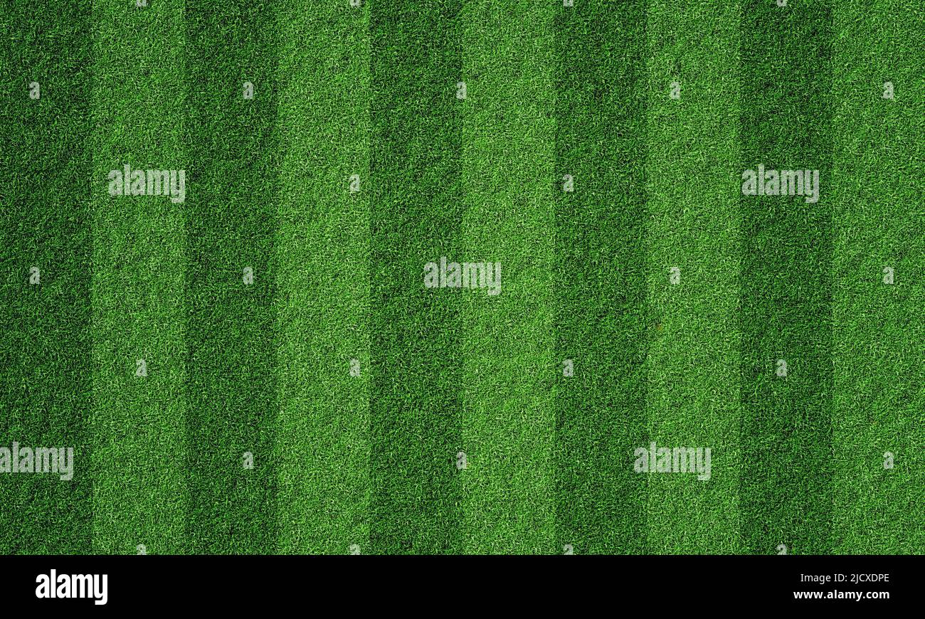 Soccer field in football stadium with line grass pattern. Sport ...