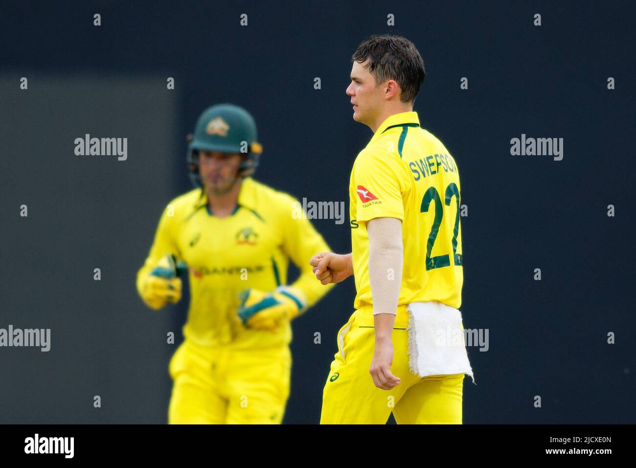 Cricket player mitchell swepson hi-res stock photography and images - Alamy