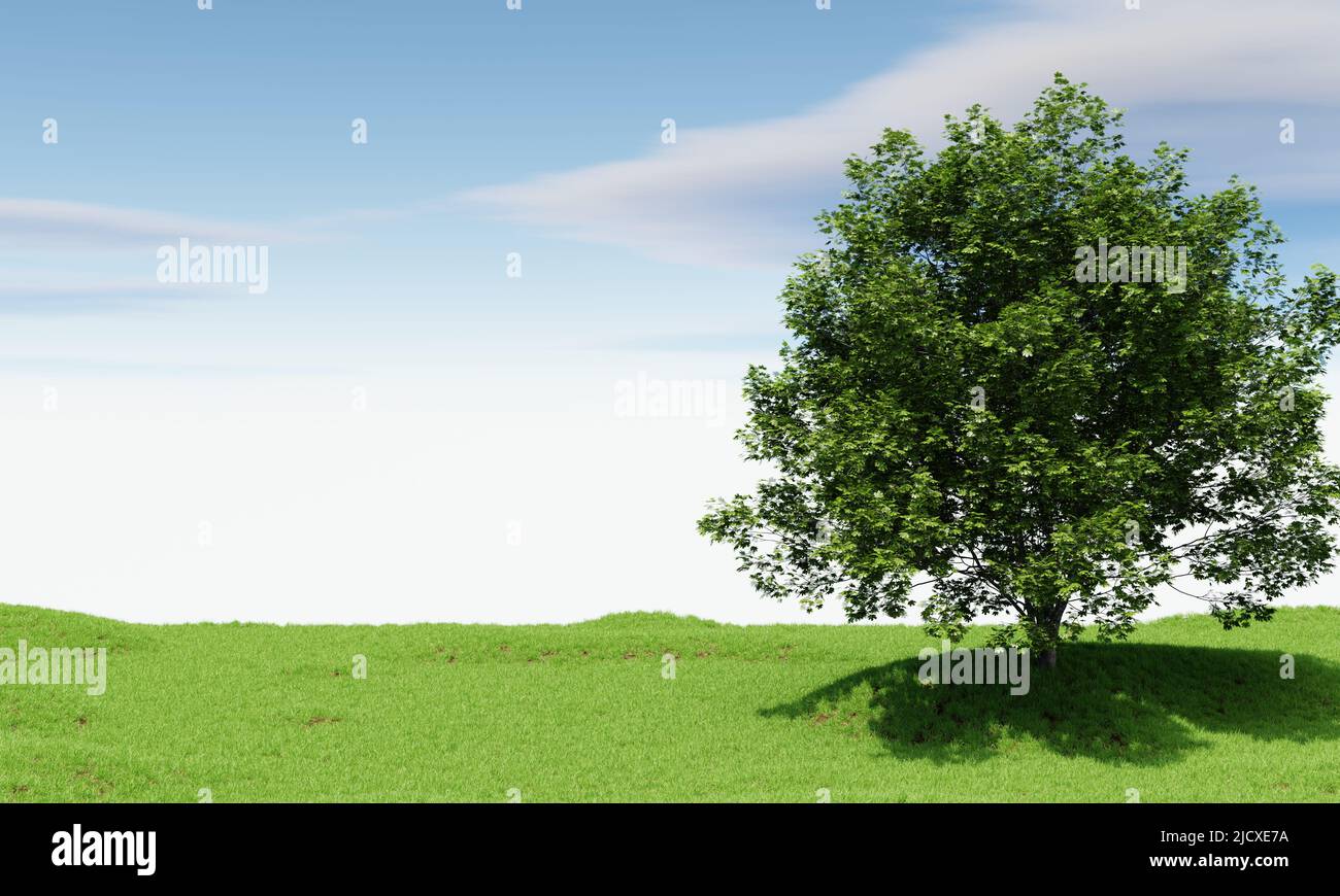 Big tree with blue sky background. Nature and landscape concept. 3D ...