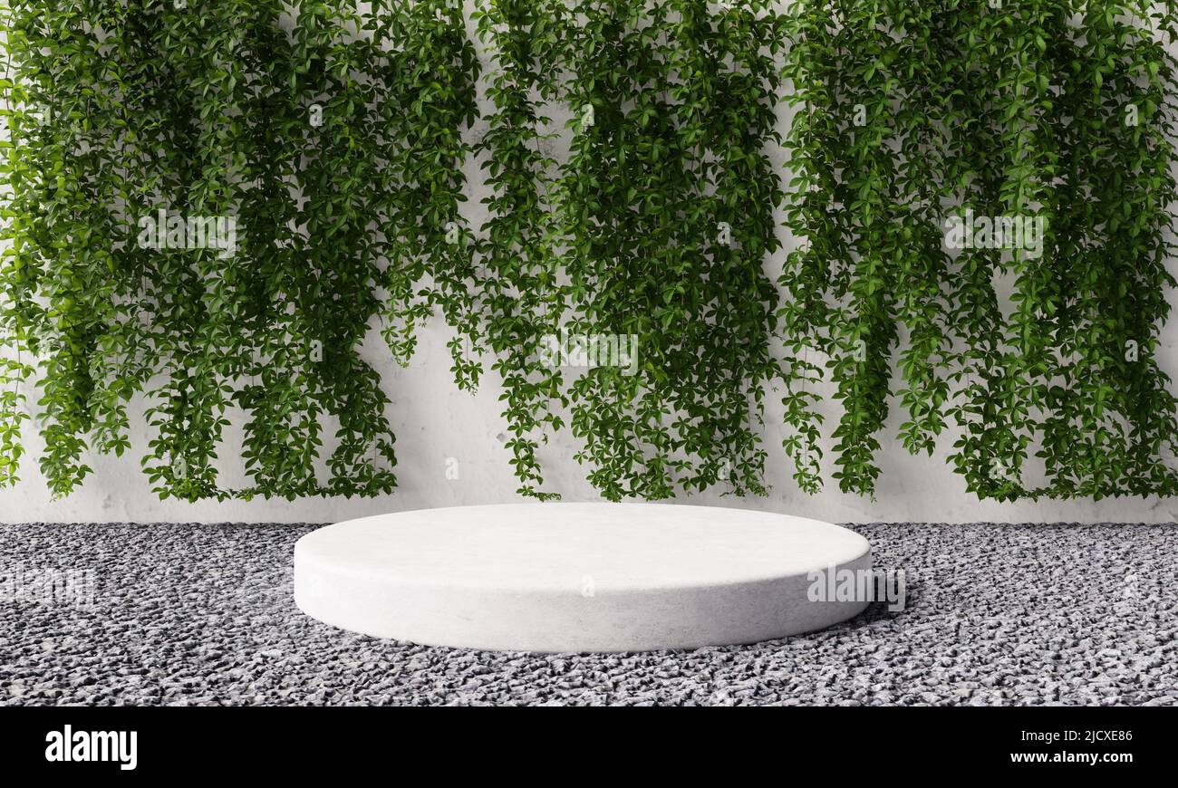 Round cylinder product stone podium in backyard garden with vine ...