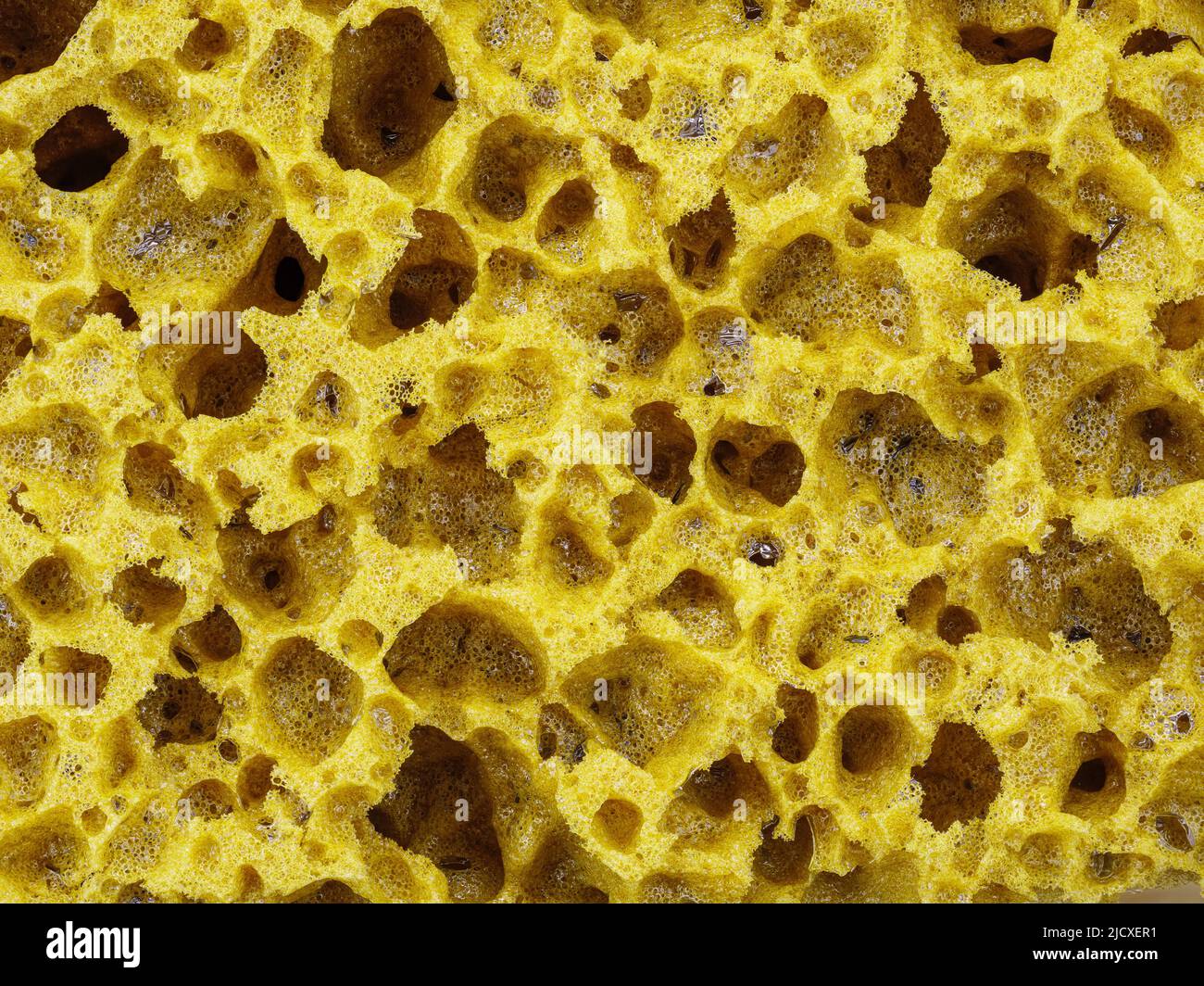 Square Yellow Sponge