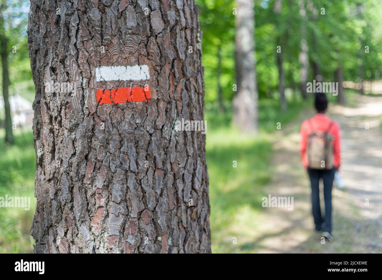 Tree sign with trekking sign with young lady walking in the background ...