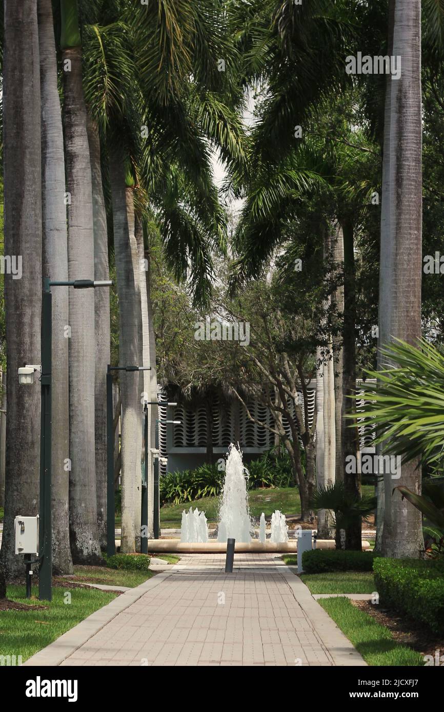 A beautiful water fountain splashing at the end of a colonnade of ...