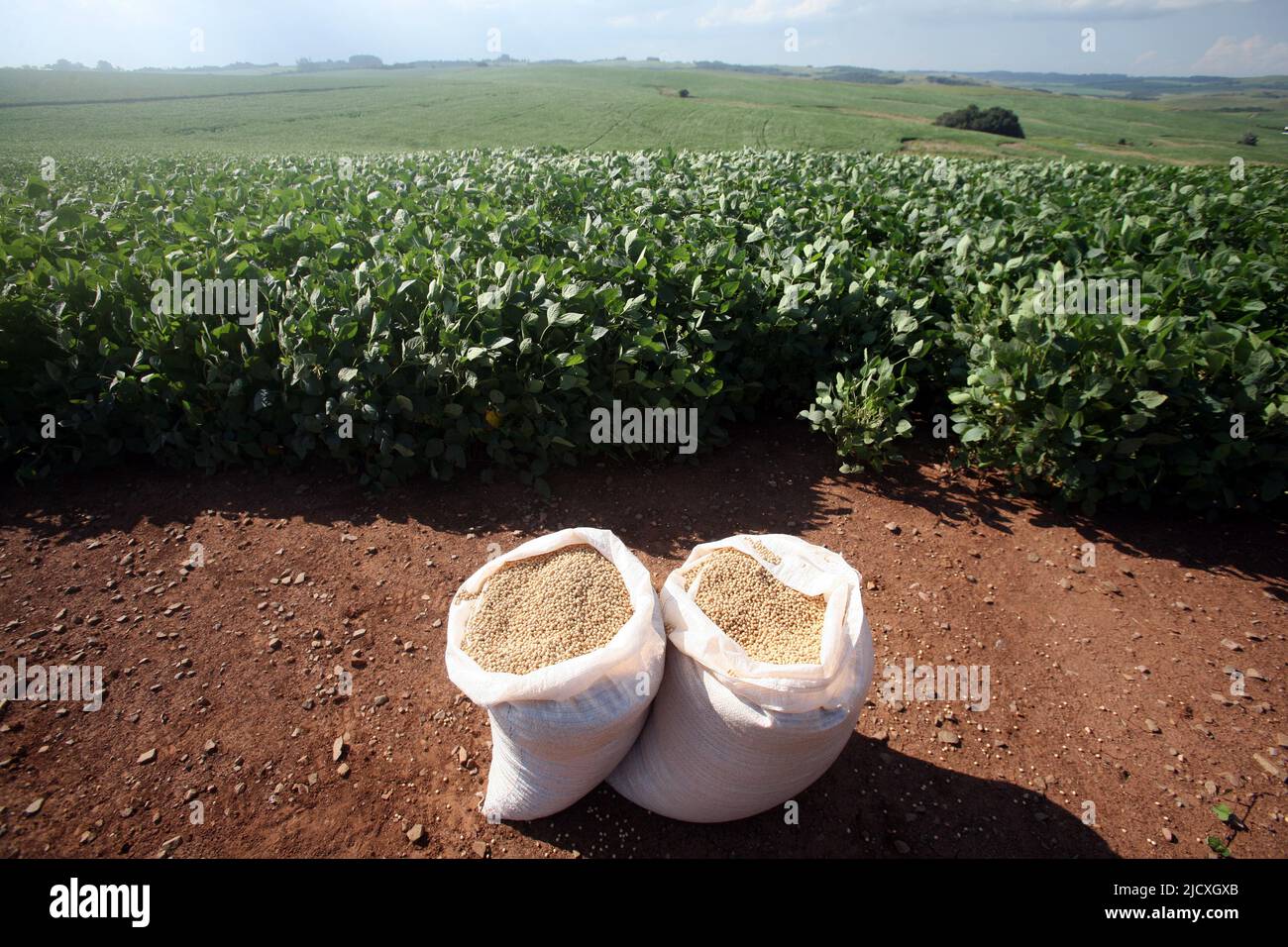 Crop fiels hi-res stock photography and images - Alamy