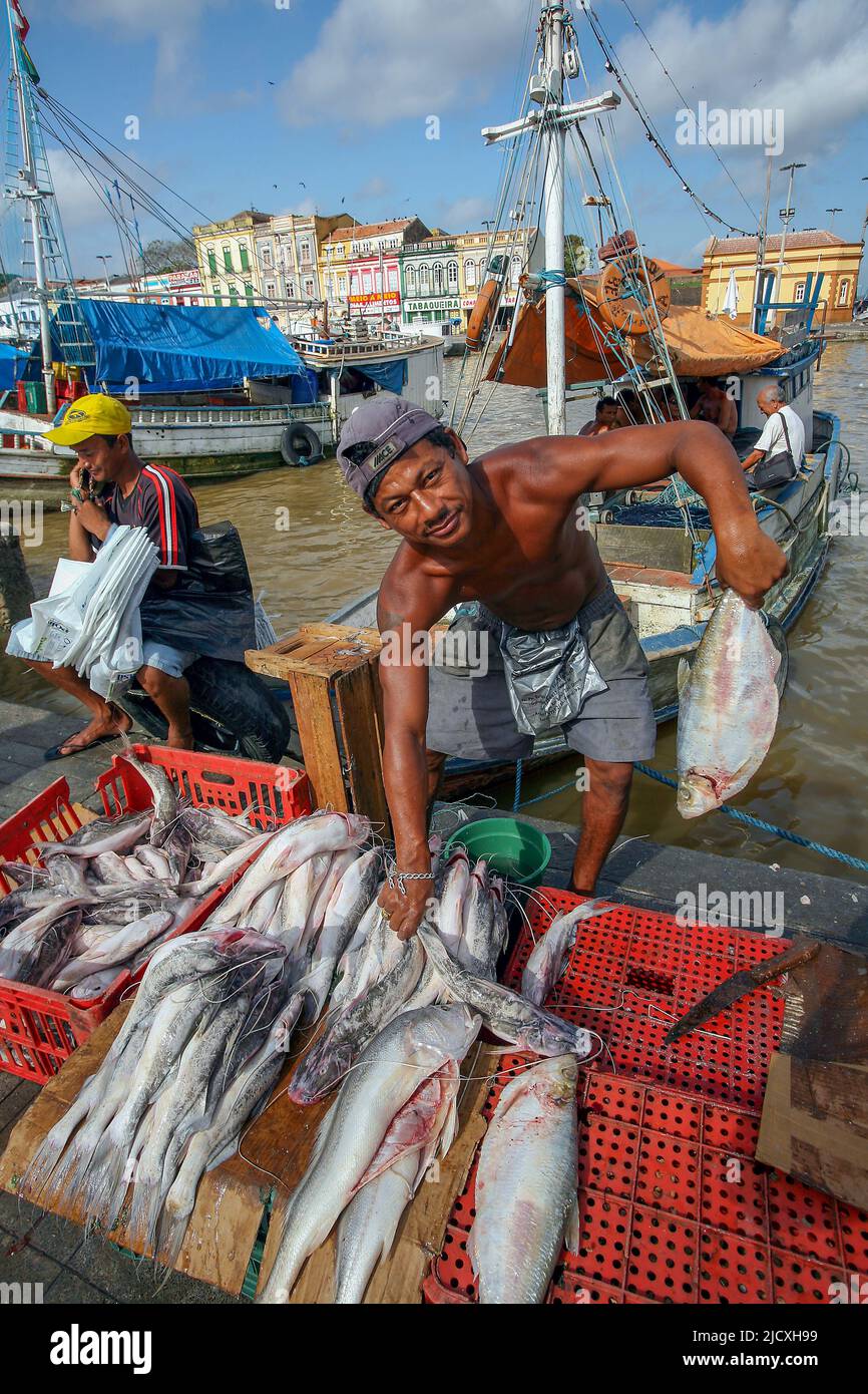 Brazil, Belem The fish market area of the Ver-o-Peso market near the ...