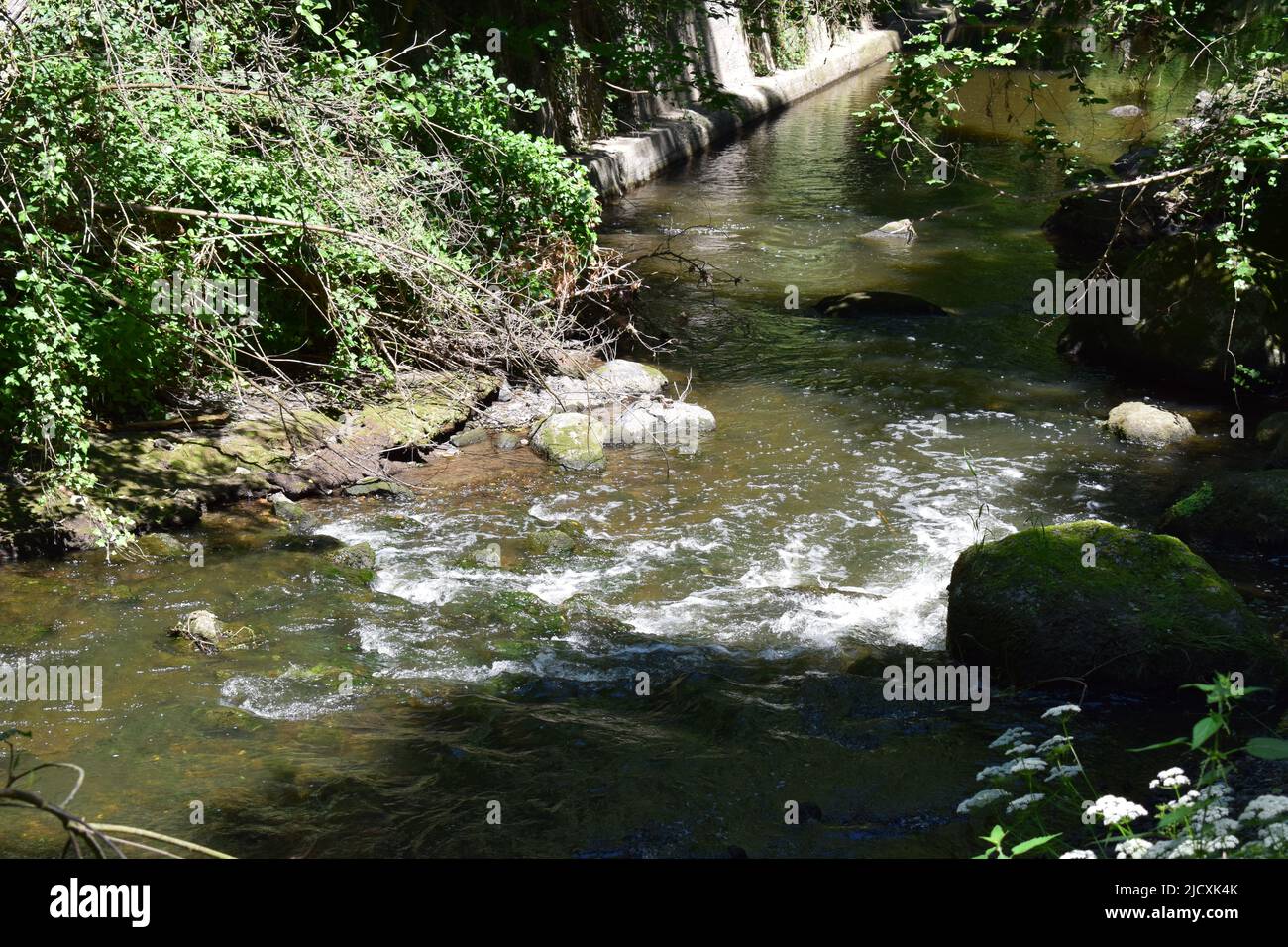 Rauscherpark hi-res stock photography and images - Alamy