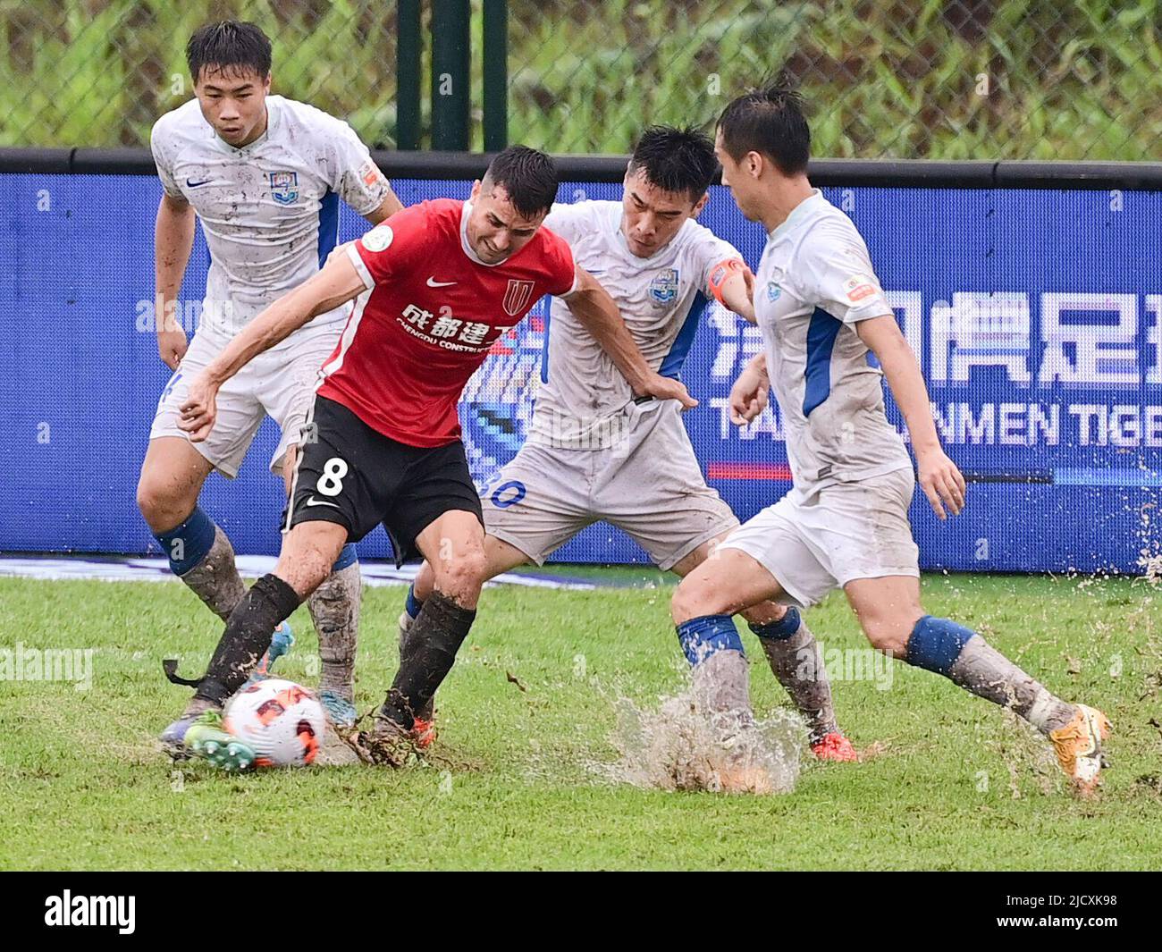 Tiger tim hi-res stock photography and images - Alamy