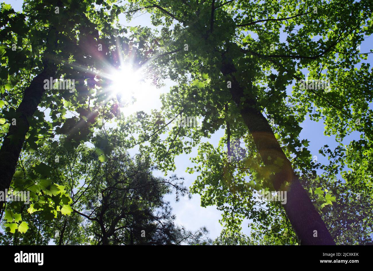 Warmth source hi-res stock photography and images - Alamy