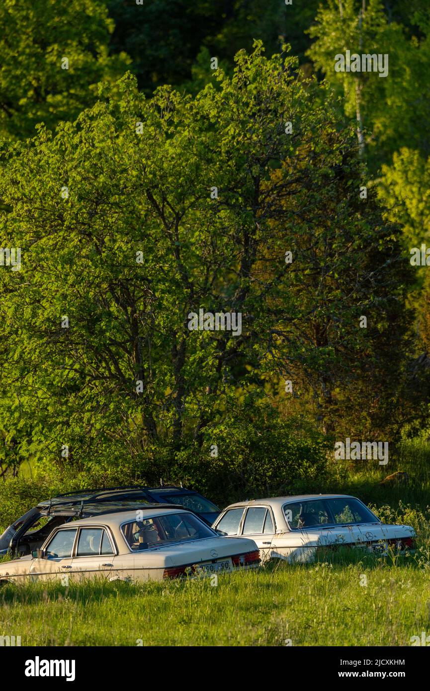 Car graveyard hi-res stock photography and images - Alamy