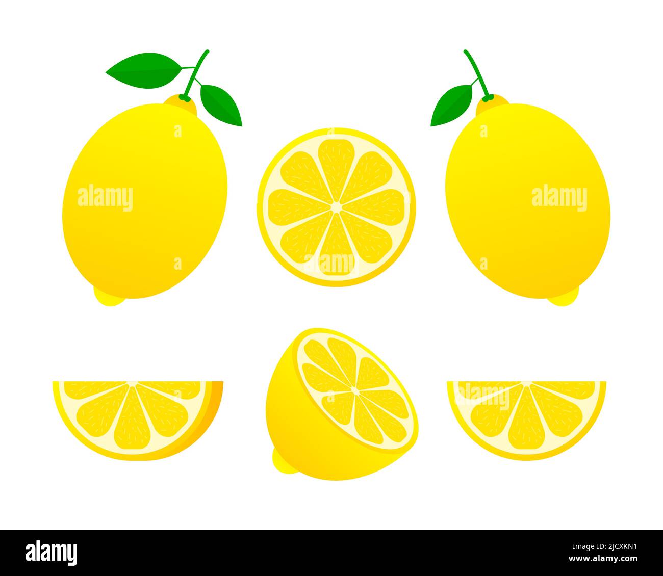 Fresh lemon fruits, collection of vector illustrations Stock Vector ...