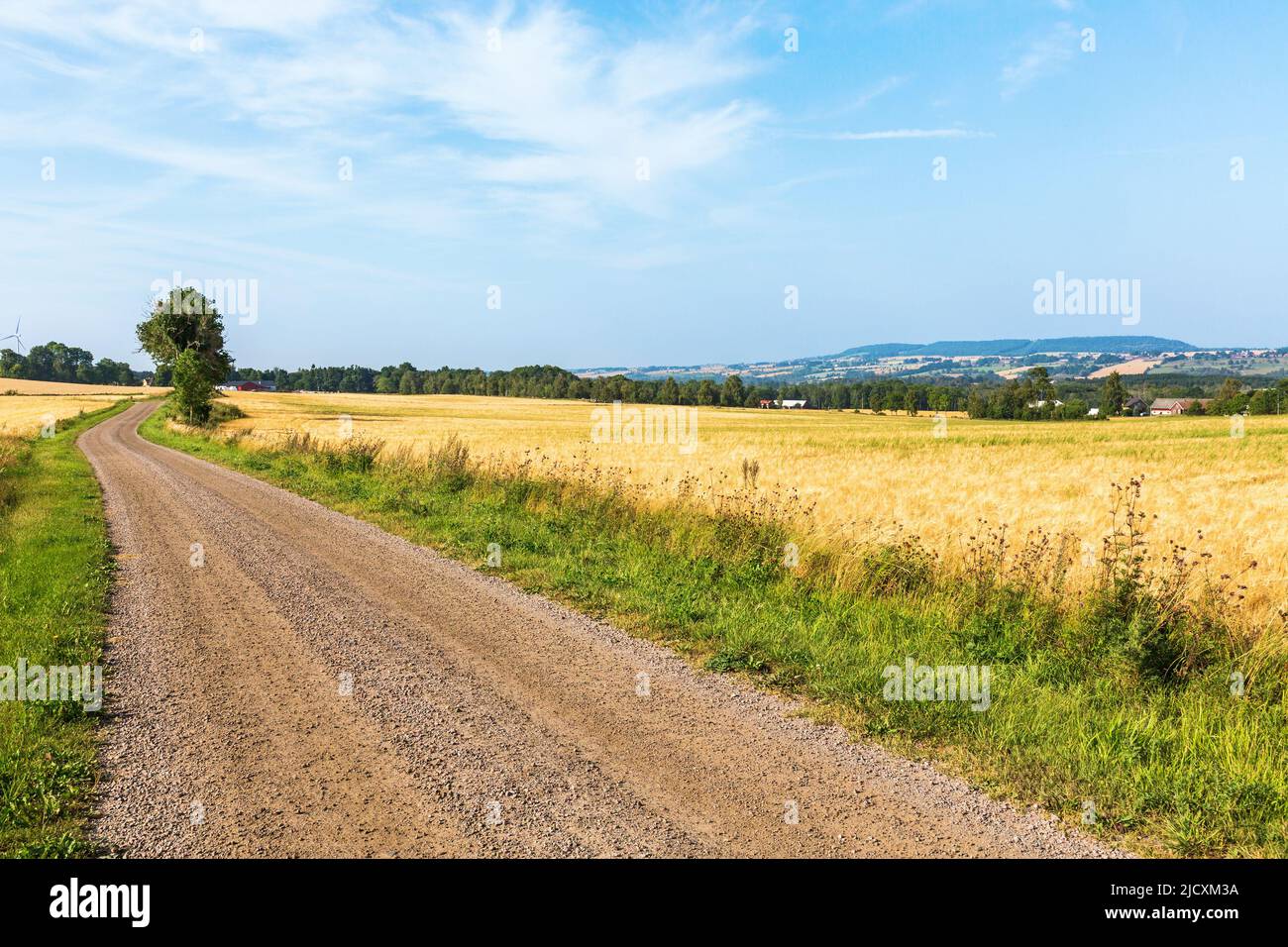 Country road at the side of a cornfield Stock Photo - Alamy