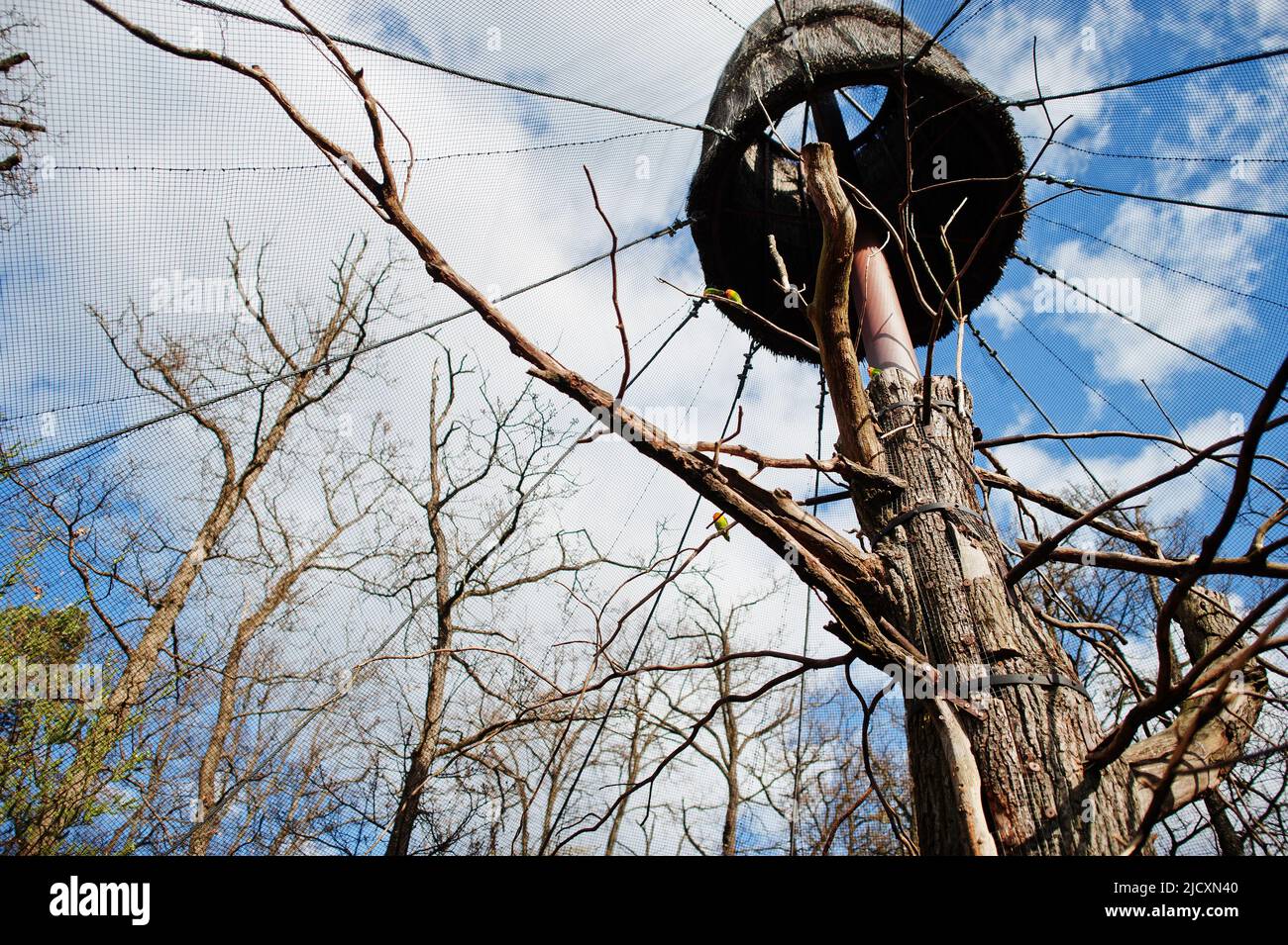 Large bird park sky nets with parrots, birdhouse protection nets at zoo ...