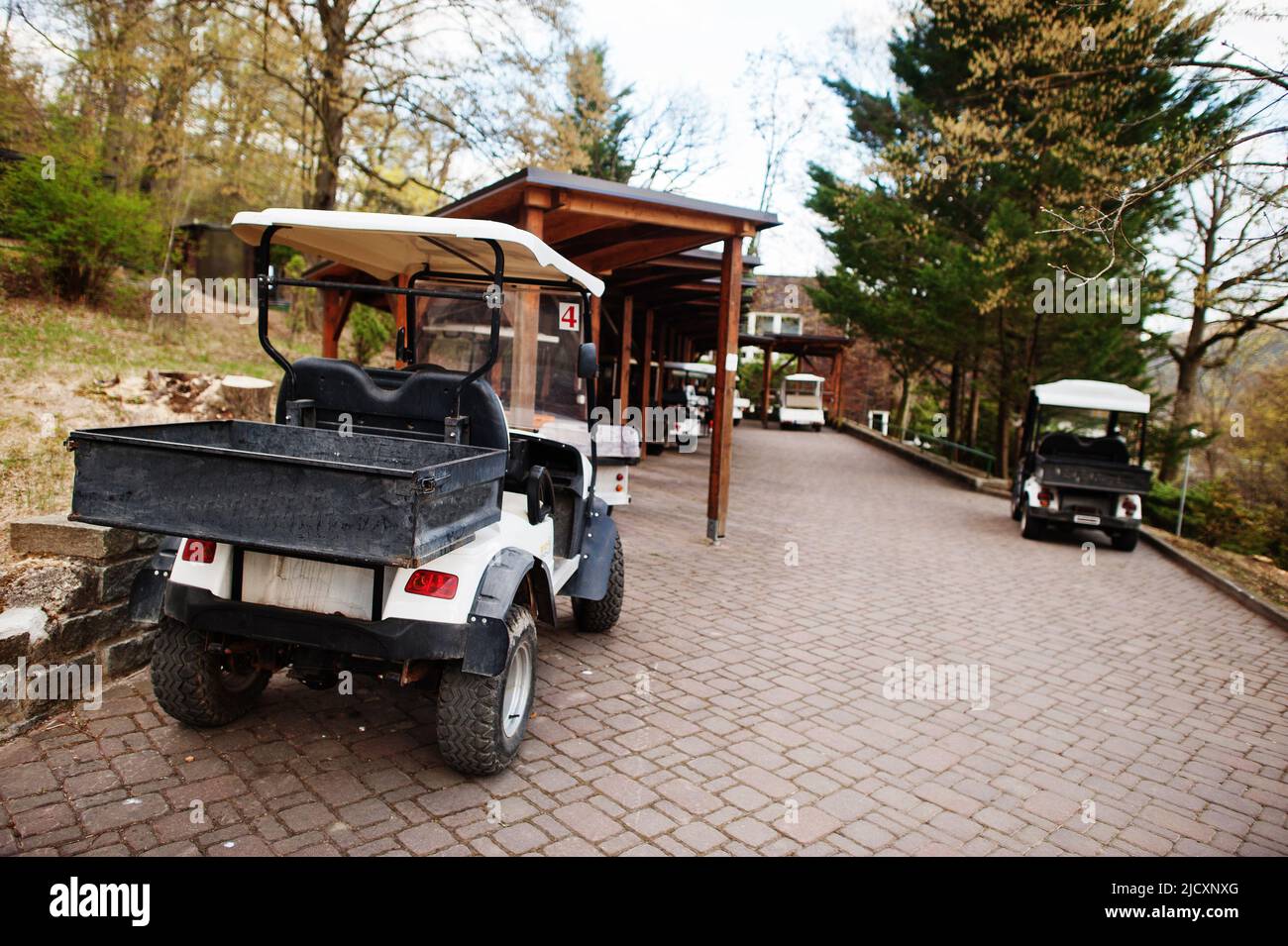 Golf cart zoo hi-res stock photography and images - Alamy