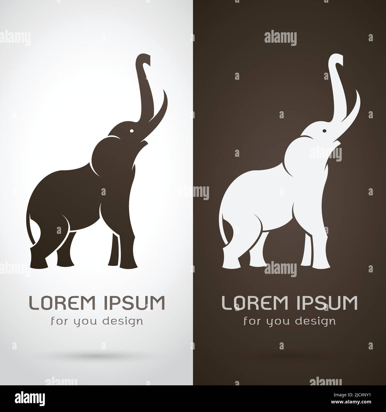 Vector of an elephant design on white background and brown background ...