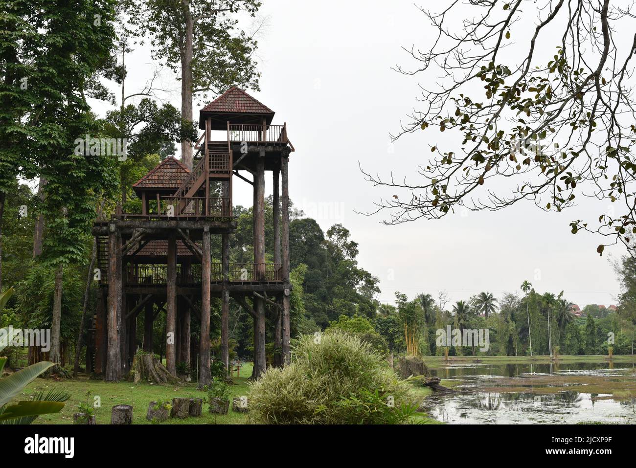 Wooden observation platform structure hi-res stock photography and ...