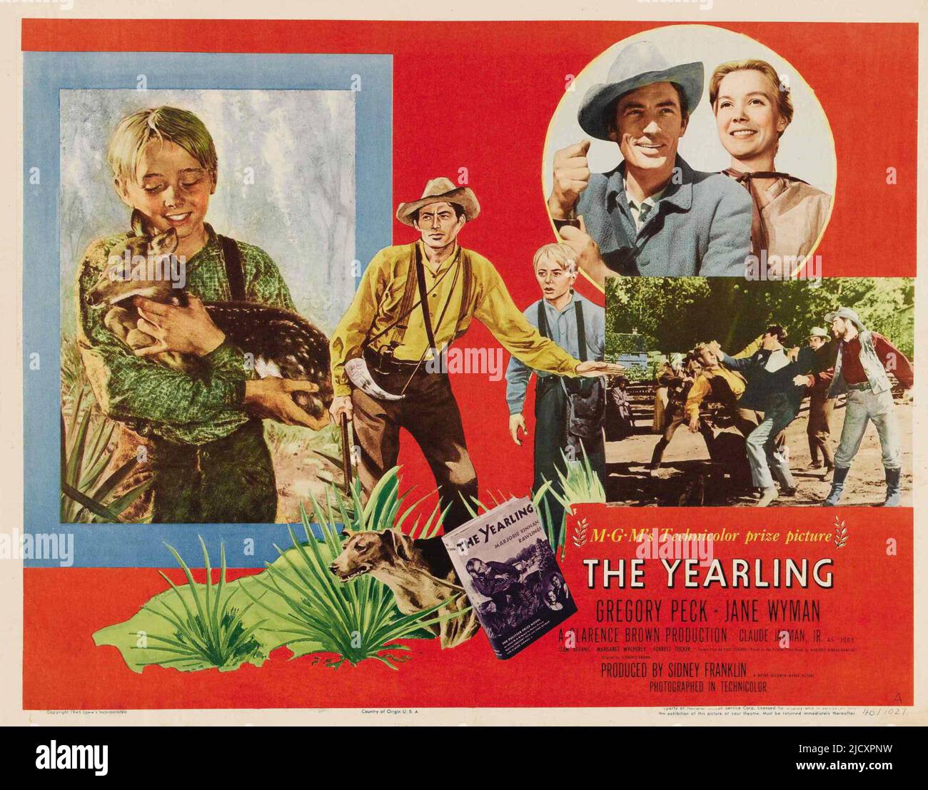 The yearling 1946 gregory peck hi-res stock photography and images - Alamy