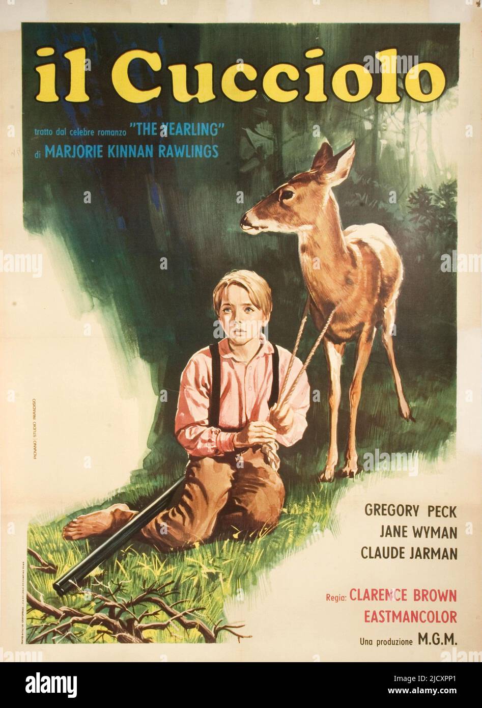 The yearling film hi-res stock photography and images - Alamy