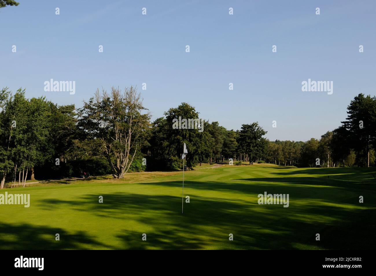 Bernard hunt course hi-res stock photography and images - Alamy