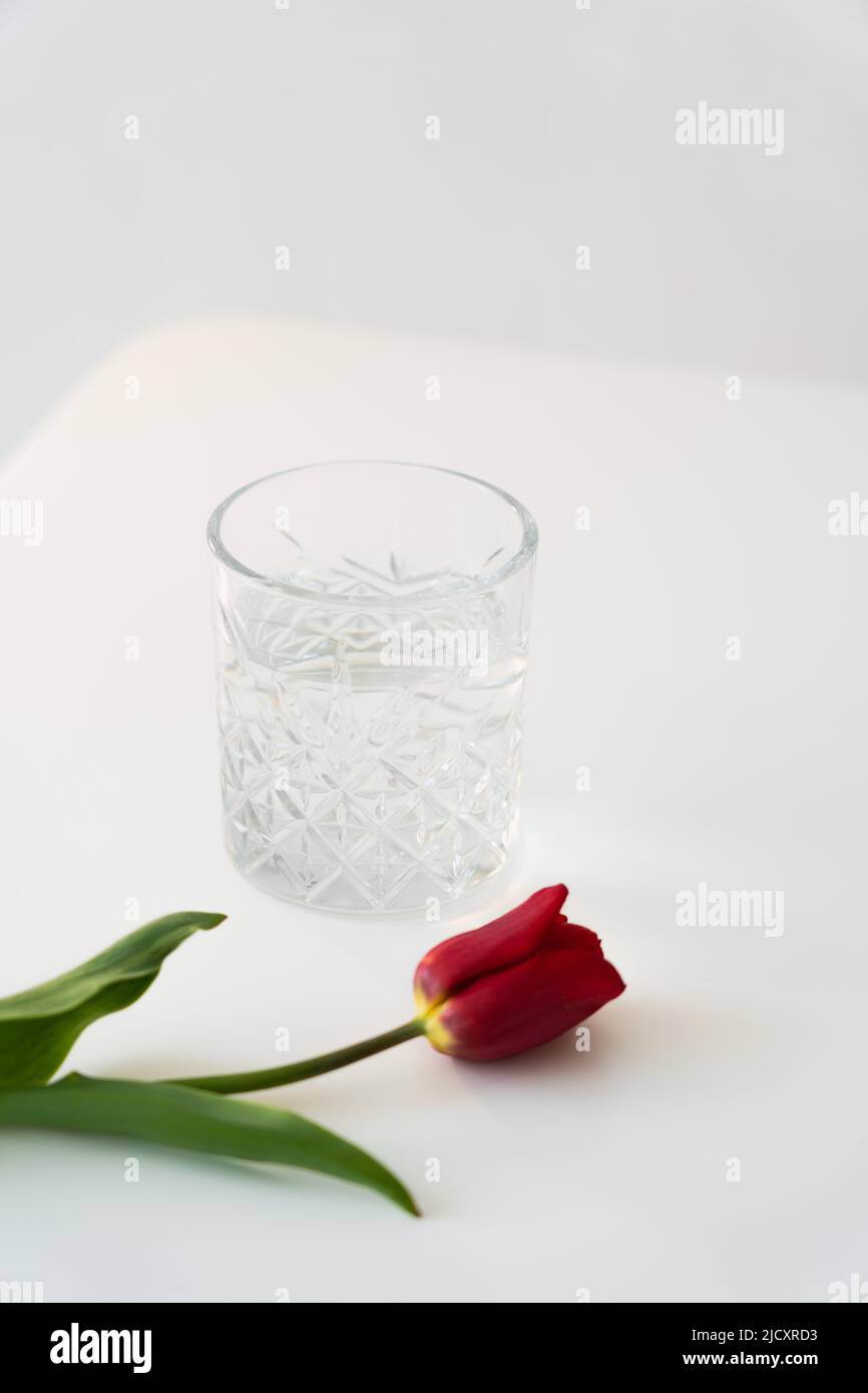 crystal faceted glass with pure water near fresh tulips on white ...
