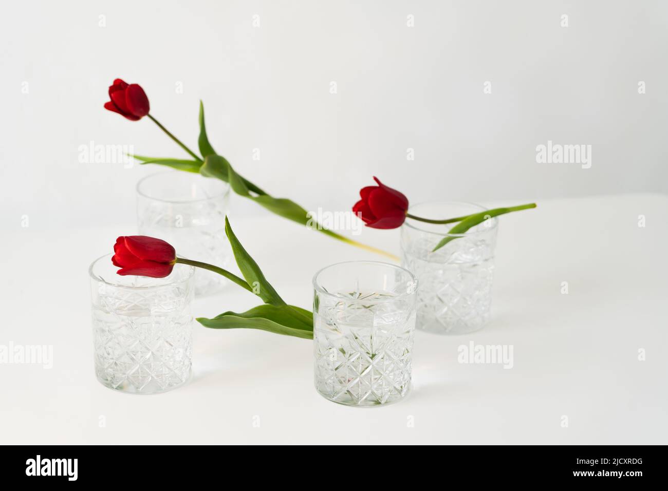 red tulips near faceted glasses with clean water on white background ...