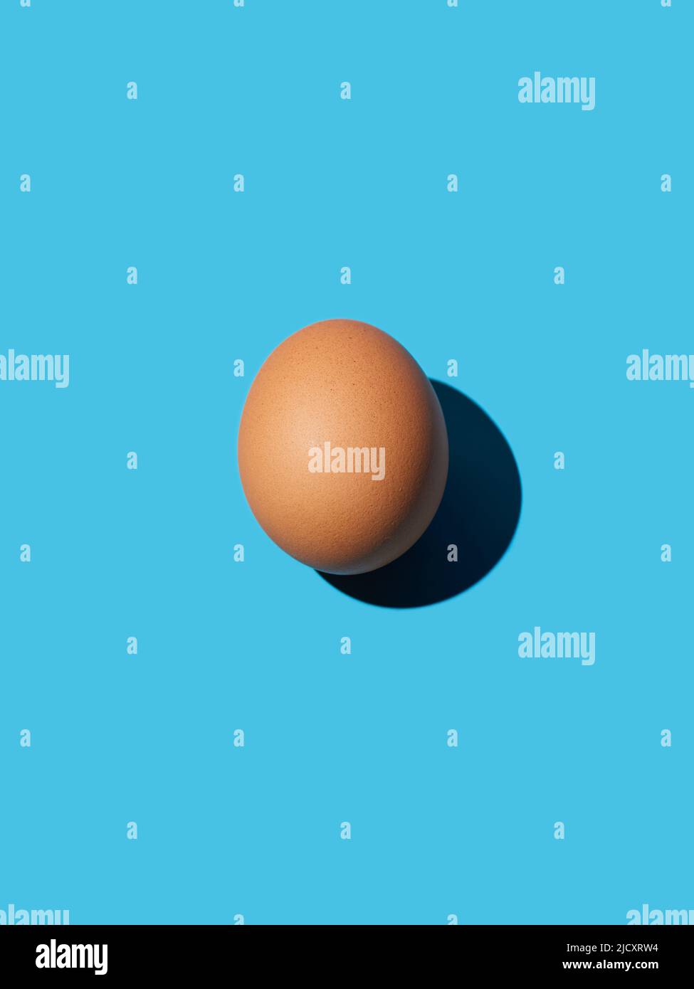 A brown chicken egg lies in the center on a bright blue background ...