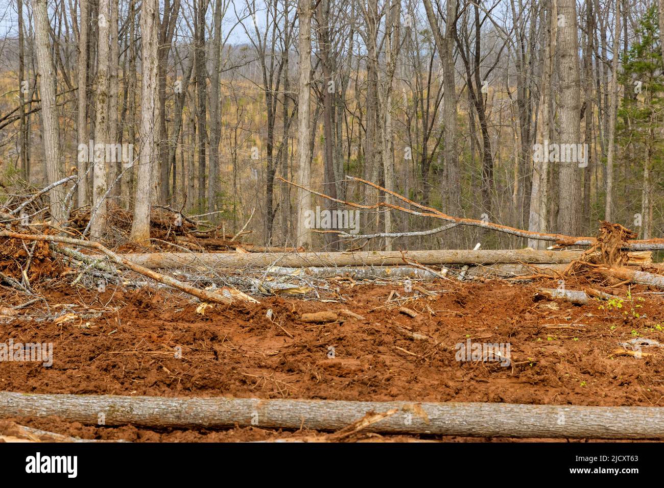 Land cleared trees new hi-res stock photography and images - Alamy