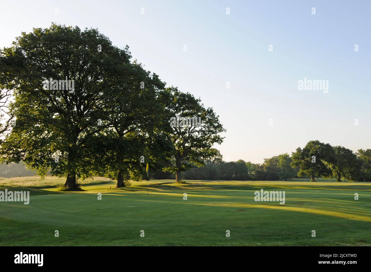 Early morning view of the 5th Green with trees in background, Horne ...