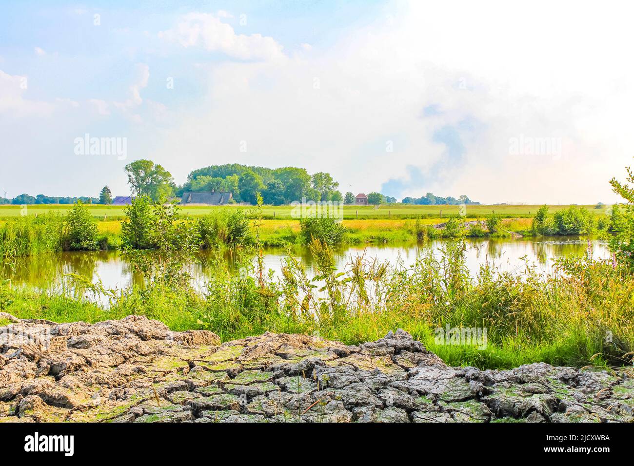 Natural beautiful panorama view with bog moor swamp pond river lake and ...